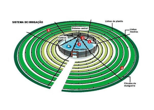 Construção de horta mandala: Uma alternativa sustentável para a ...